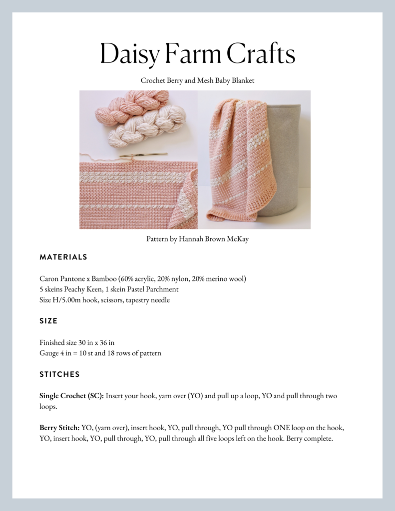 Crochet Berry and Mesh Baby Blanket - Daisy Farm Crafts