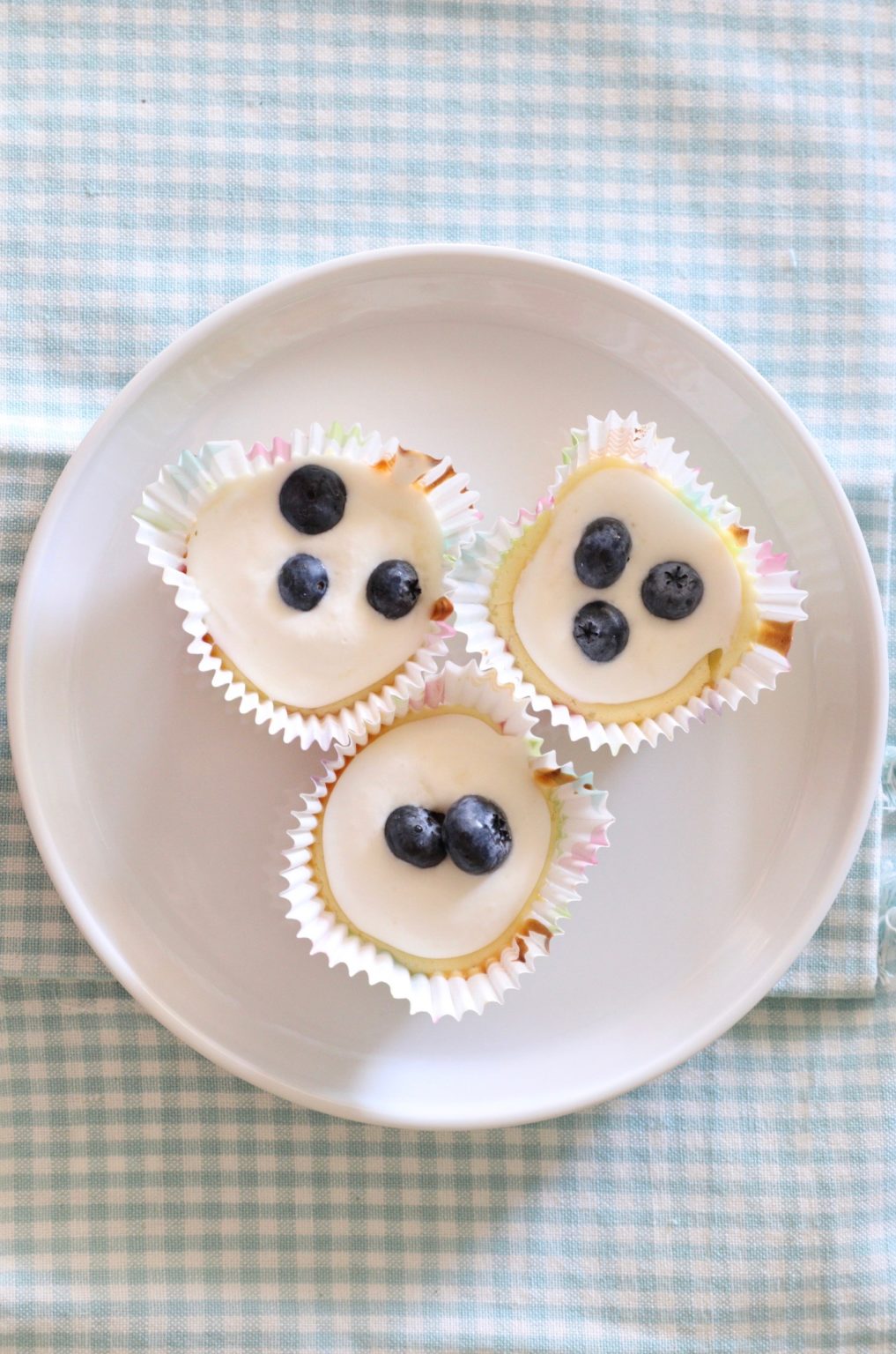 Individual Mini Cheesecakes - Daisy Farm Crafts