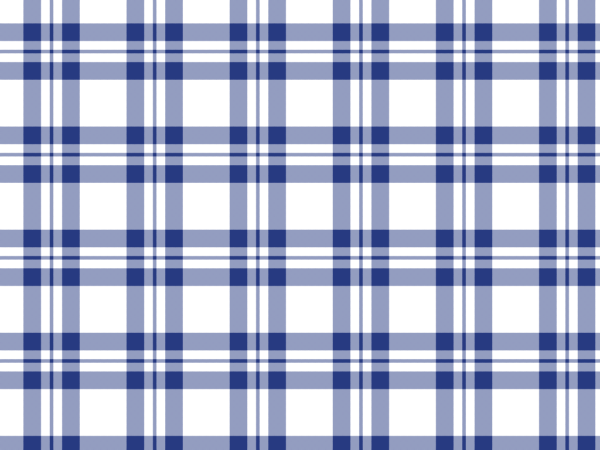 Crochet Blue Plaid Baby Blanket - Daisy Farm Crafts