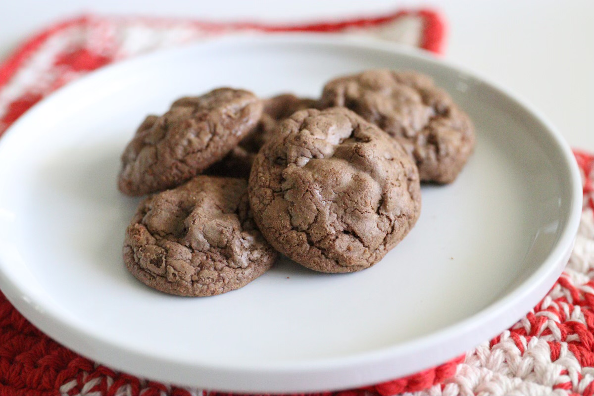 Chewy Chocolate Cookies - Daisy Farm Crafts