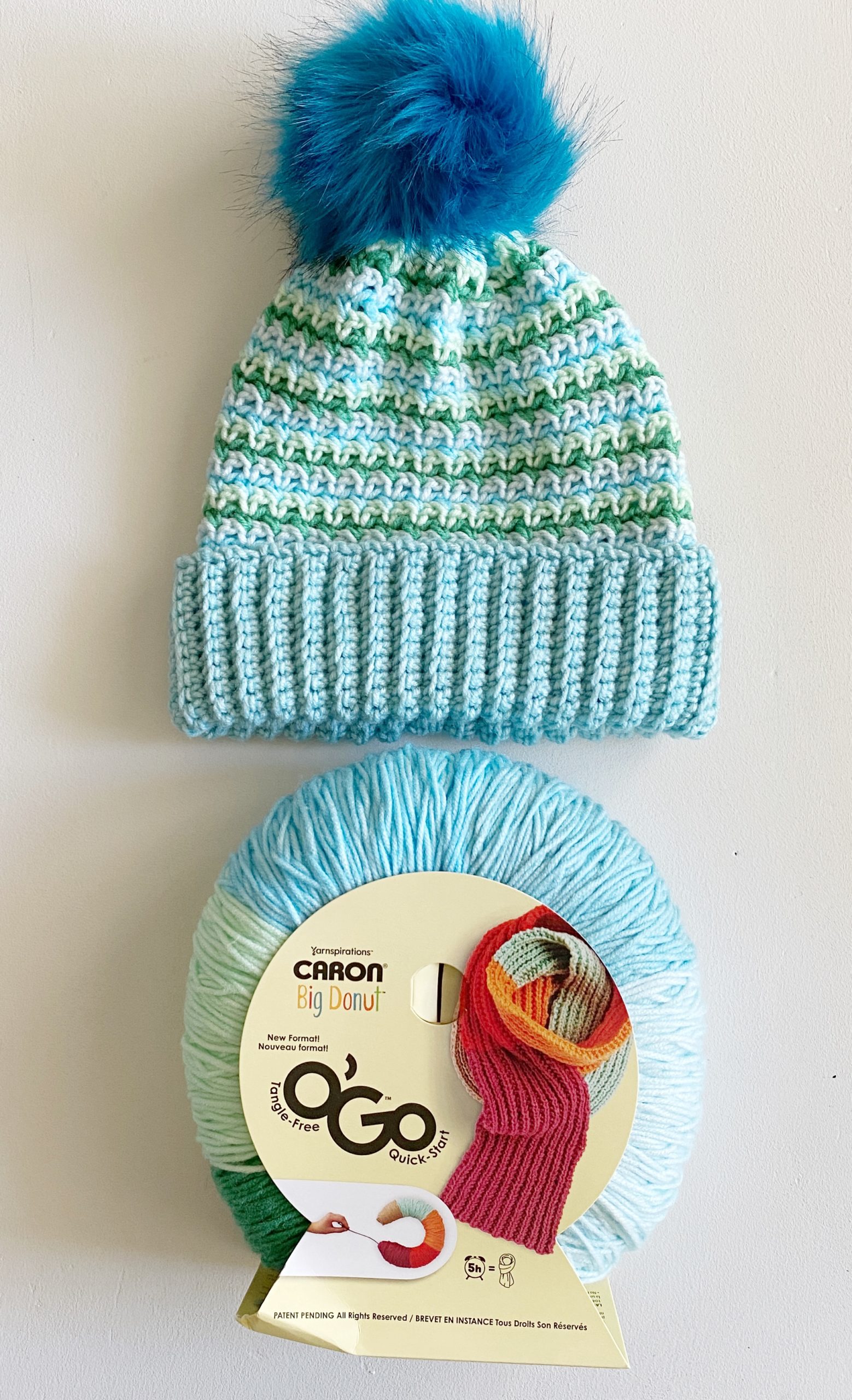 Caron O'go Big Donut Mesh Stitch Hat - Daisy Farm Crafts