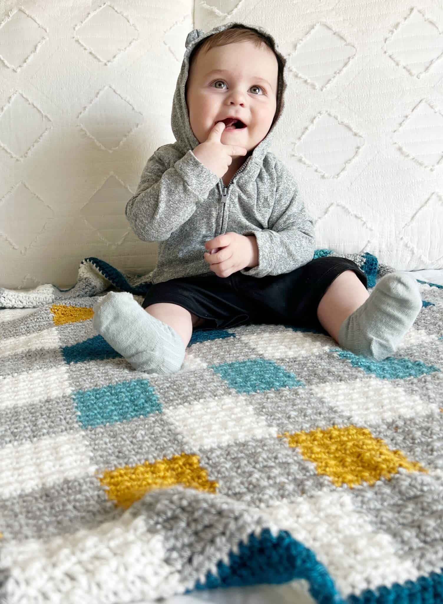 Crochet Griddle Stitch Multi-Color Gingham Blanket - Daisy Farm Crafts